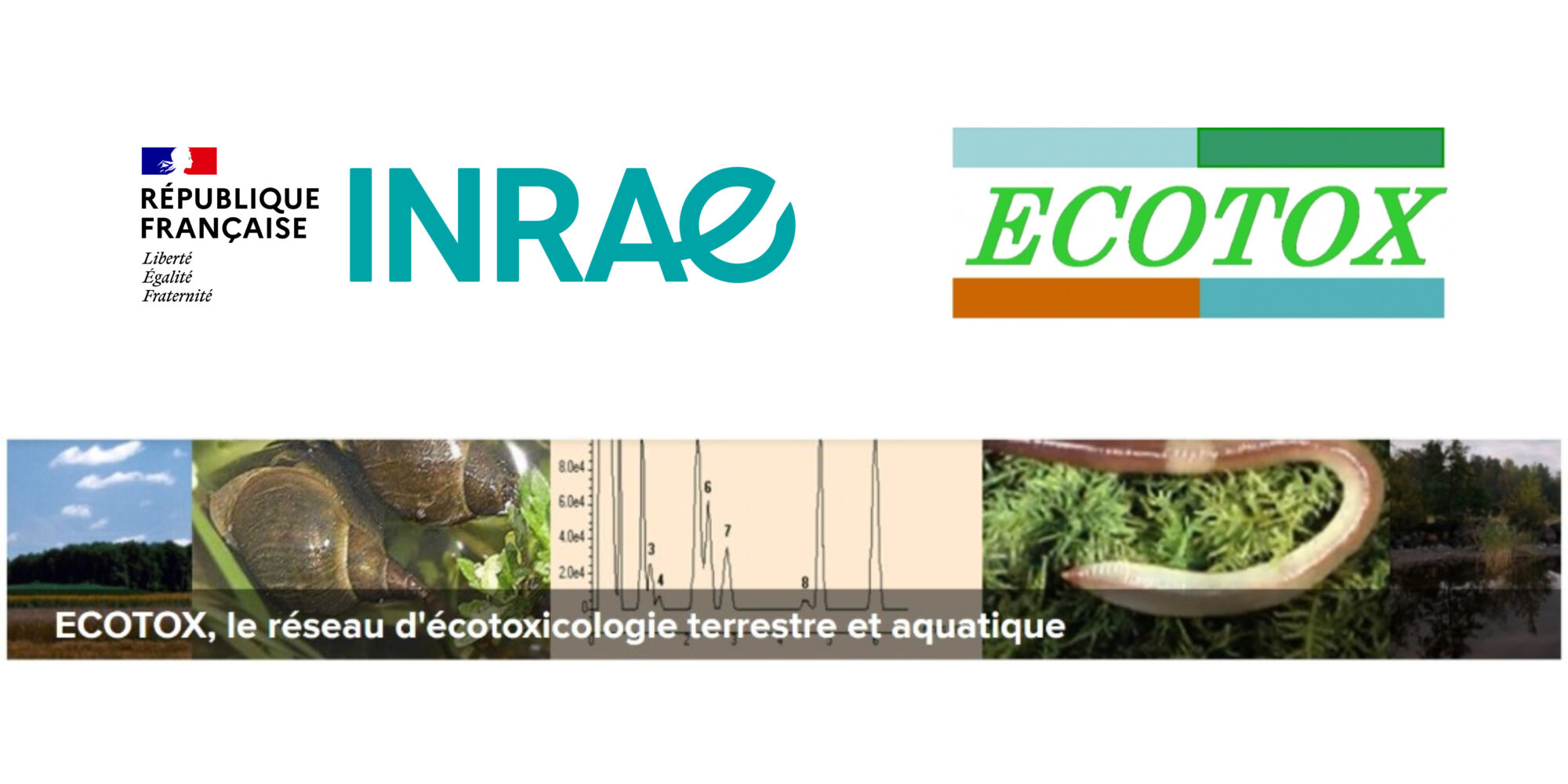 Bulletins de veille du réseau ECOTOX | Creseb Bretagne