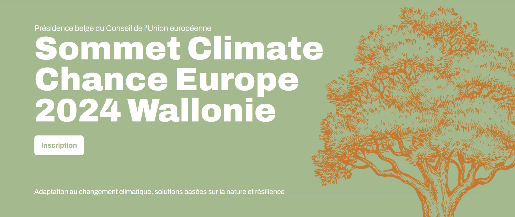 Présidence belge du Conseil de l'Union européenne | Sommet Climate ...