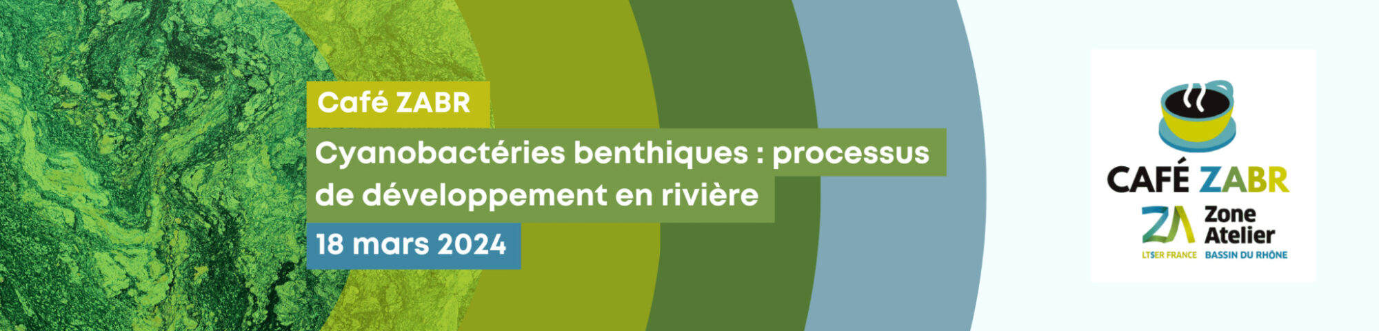 ZABR, GRAIE | Café ZABR Cyanobactéries | Creseb Bretagne